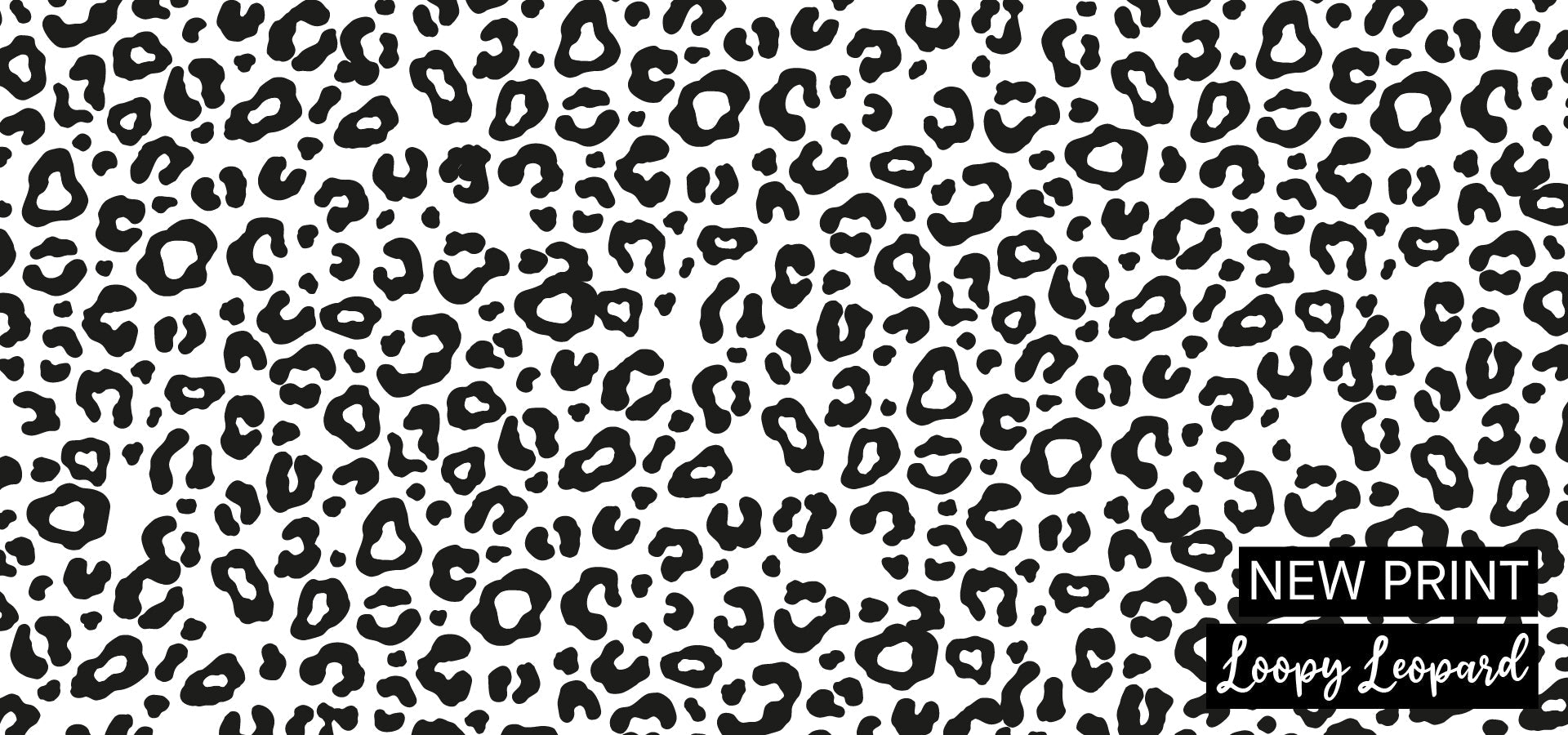 Loopy Leopard – In The Box