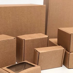 Shipper Boxes – In The Box