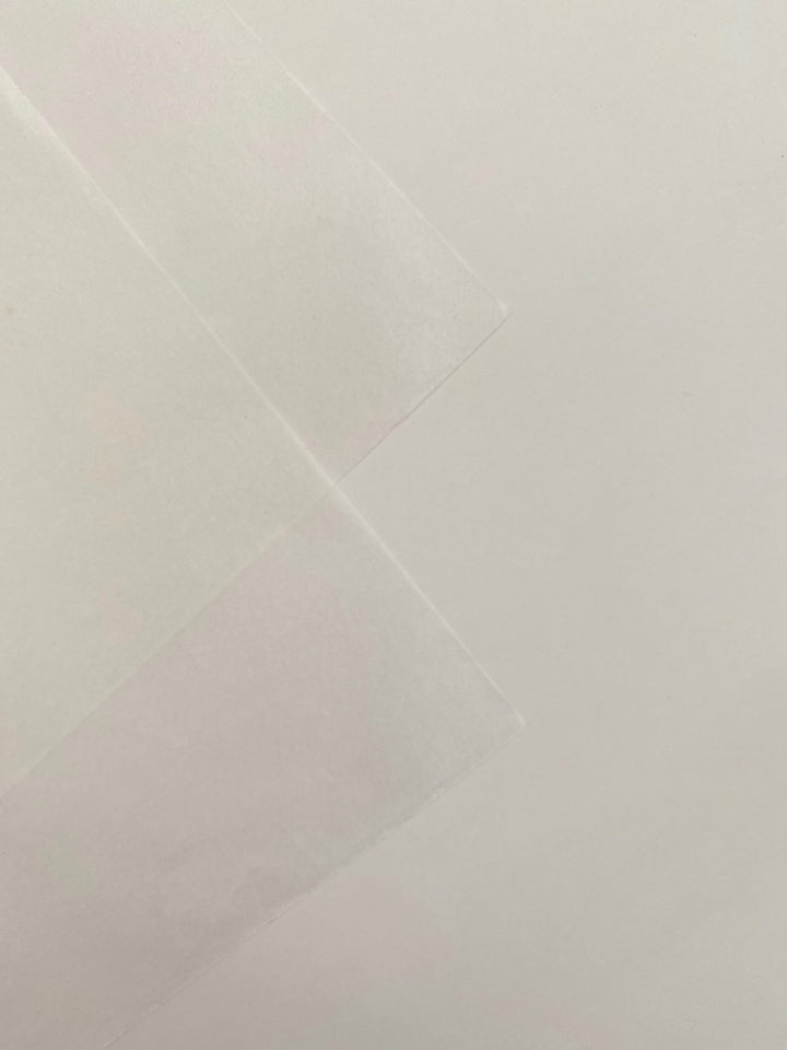 Plain Tissue Paper – In The Box